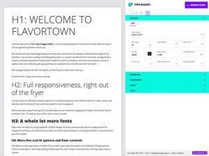 Type Nugget: Web typography CSS generator - Freebiesbug