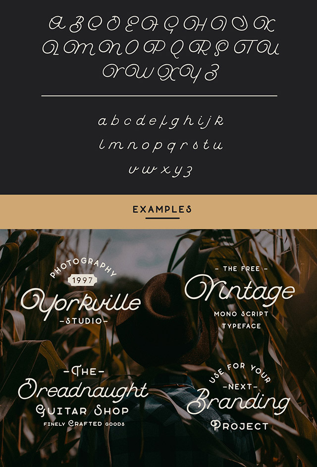 Buffalo: Free monoline script font - Freebiesbug