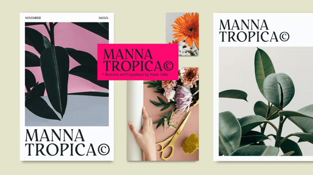 Restora: Free Serif Type Family with Swashes - Freebiesbug