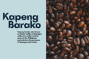 Batanga: Free Font with a Distinctly Exotic Flavor - Freebiesbug