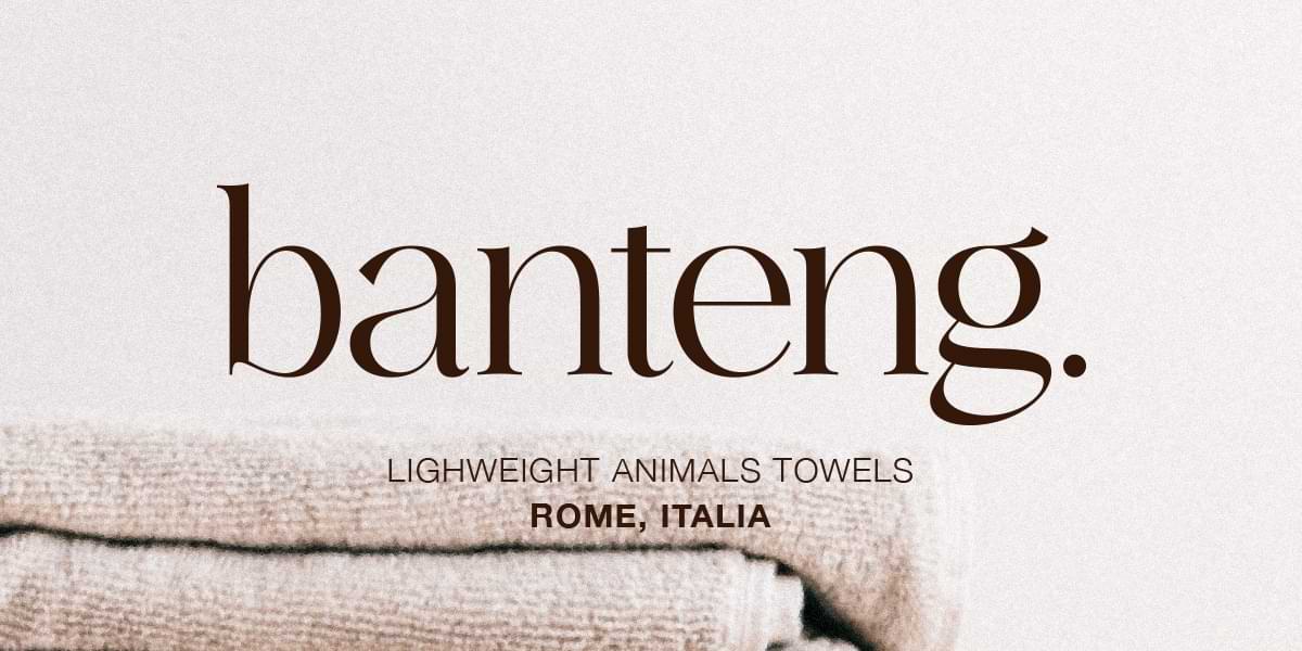 Ethereal: Free Elegant Sans-Serif Font - Freebiesbug